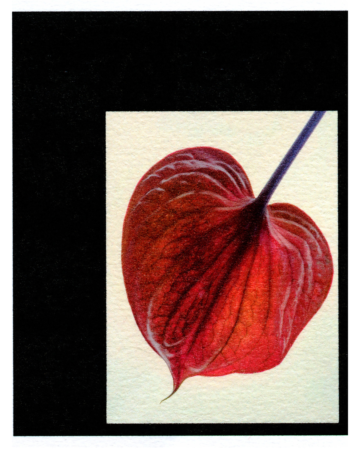 ORMAIE – Lambert Lambert