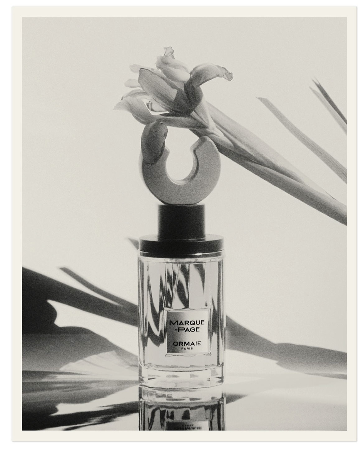 Jade Lombard – Lambert Lambert