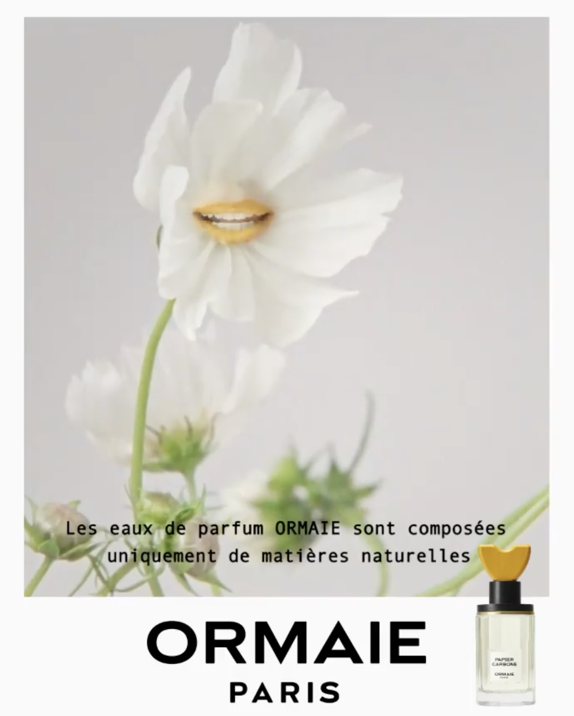 ORMAIE - Matières naturelle – Lambert Lambert
